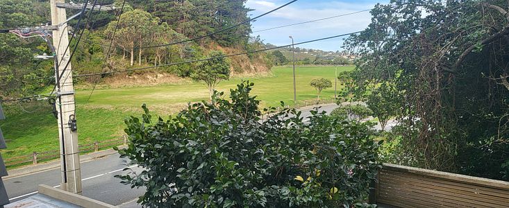 Rentals in Wellington - myRent.co.nz