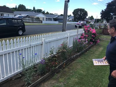 Rentals in Te Awamutu, Te Awamutu - myRent.co.nz