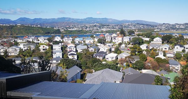 Flat for rent Wellington | 2/93 Rakau Road, Hataitai - myRent.co.nz