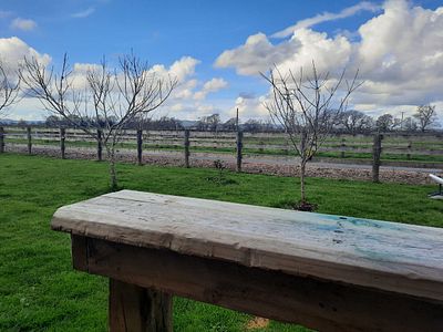 Rentals in Te Awamutu, Te Awamutu - myRent.co.nz