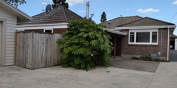 Rentals in Melville, Hamilton - myRent.co.nz