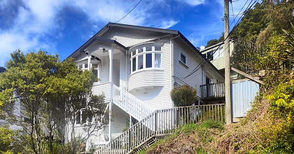 Apartment for rent Wellington | 144A Rakau Road, Hataitai - myRent.co.nz