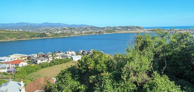 Rentals in Hataitai, Wellington - myRent.co.nz