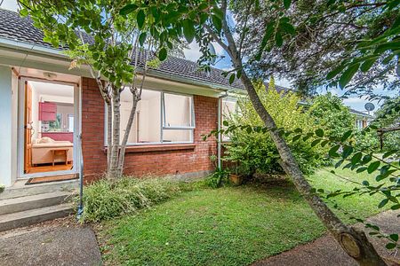 Rentals in Auckland - myRent.co.nz