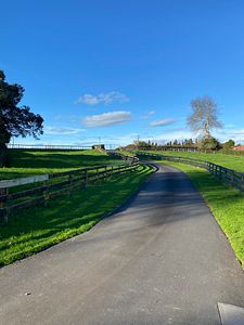 Rentals in Te Awamutu, Te Awamutu - myRent.co.nz