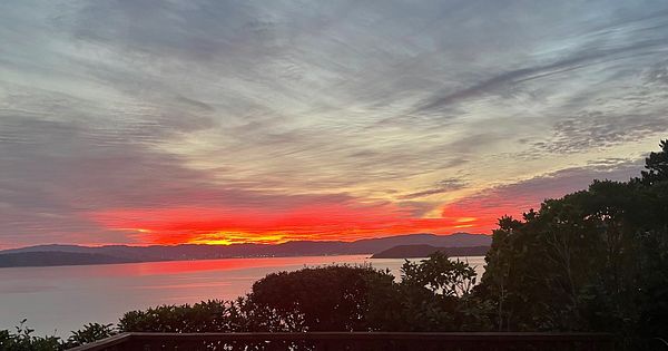 House for rent Lower Hutt | 34 Waitohu Road, York Bay - myRent.co.nz