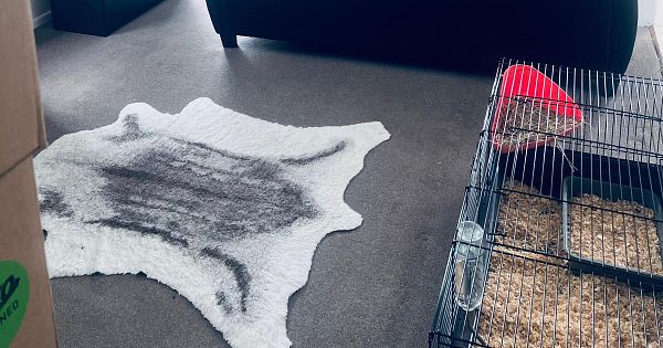 House for rent Auckland | 115 Preston Road, Otara - myRent.co.nz