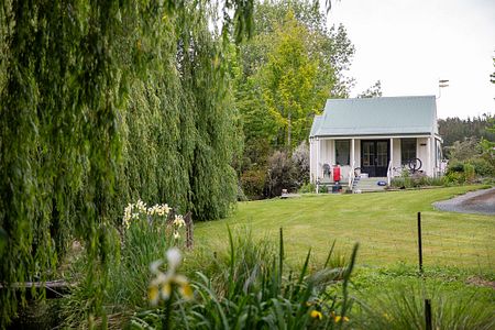 Rentals in Motueka, Motueka - myRent.co.nz