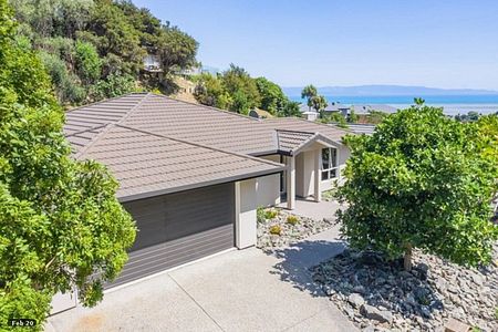 Rentals in Nelson - myRent.co.nz