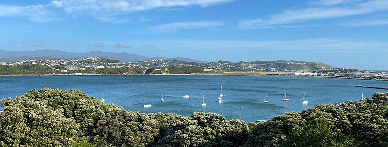 Rentals in Hataitai, Wellington - myRent.co.nz